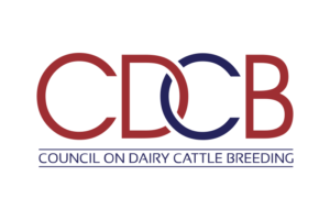 CattleEye | Autonomous Livestock Monitoring - CattleEye