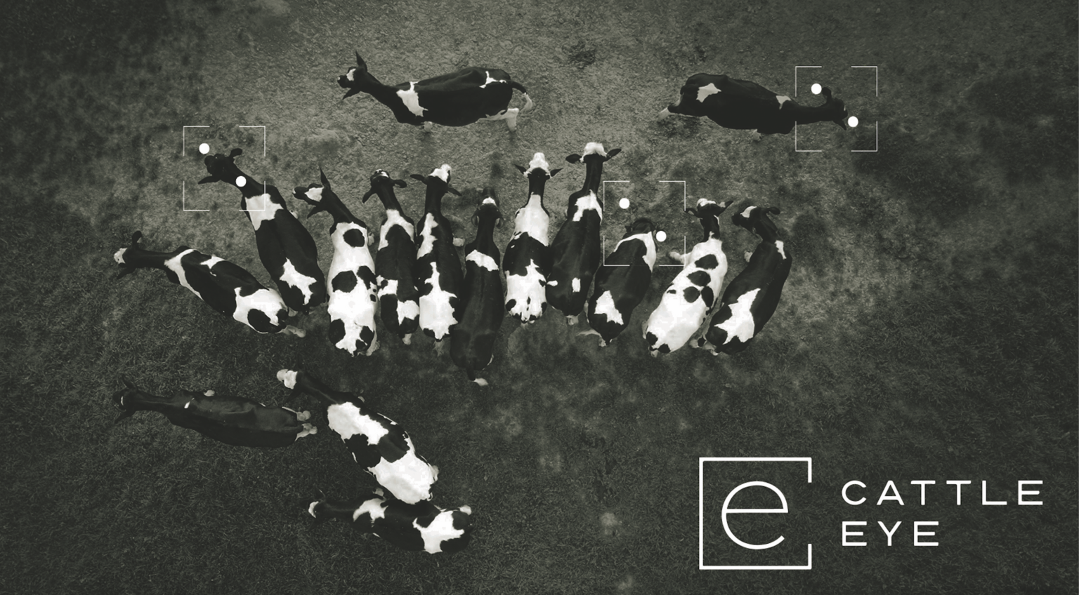 CattleEye Announces Partnership with Global Dairy Equipment Giant GEA ...